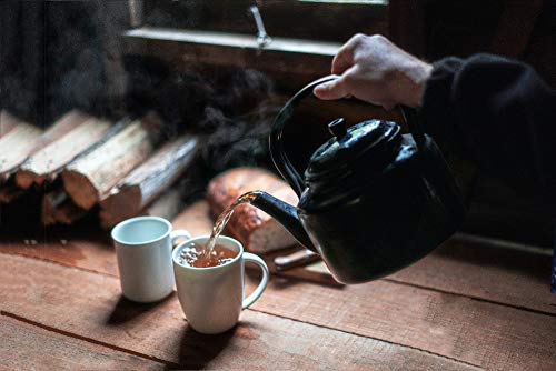 Versatile chaga powder for smoothies