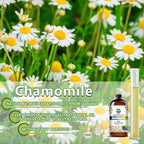 versatile chamomile oil for aromatherapy