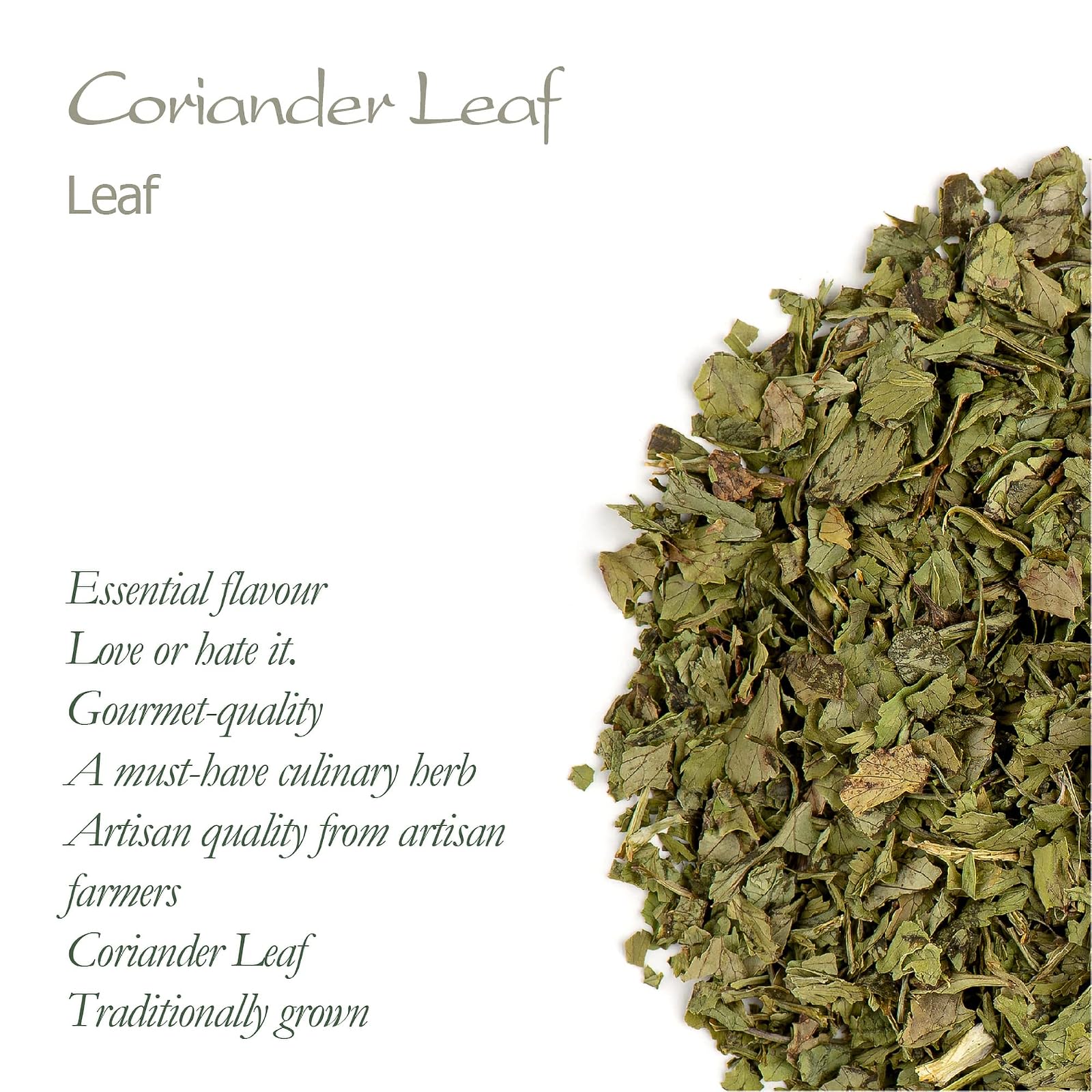 versatile cilantro for tea blends