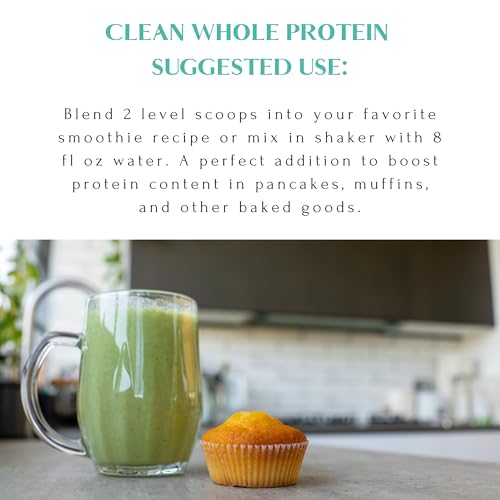 versatile clean protein powder