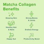 versatile collagen peptides for smoothies