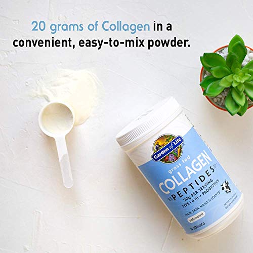 versatile collagen powder for baking