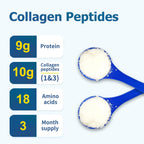 Versatile collagen powder for recipes