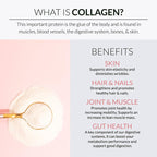 versatile collagen powder for smoothies