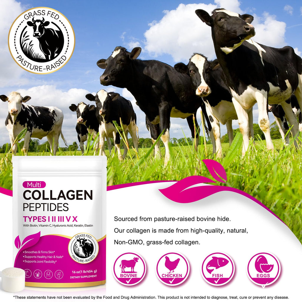versatile collagen powder for smoothies