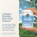 versatile collagen powder for smoothies