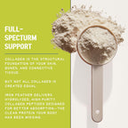 versatile collagen powder for smoothies