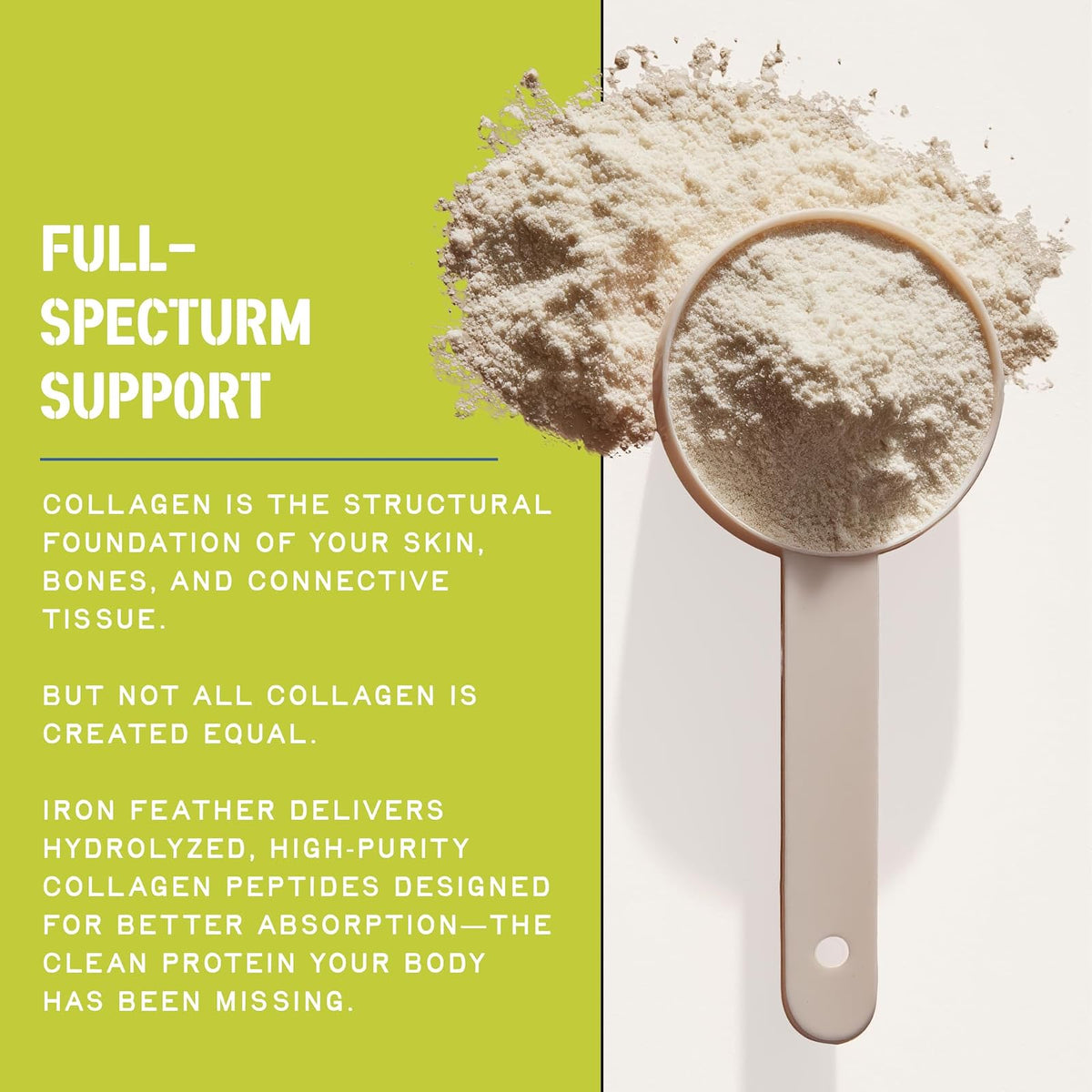 versatile collagen powder for smoothies