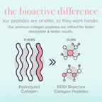 versatile collagen powder for smoothies