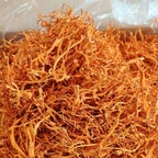 versatile Cordyceps for health