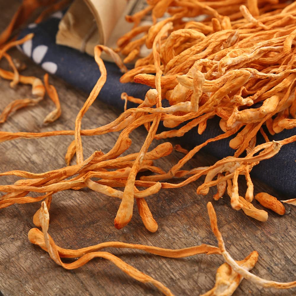 versatile cordyceps mushrooms for cooking