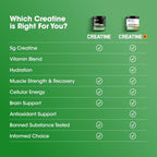 versatile creatine for daily use