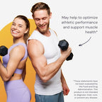 versatile creatine for workout support
