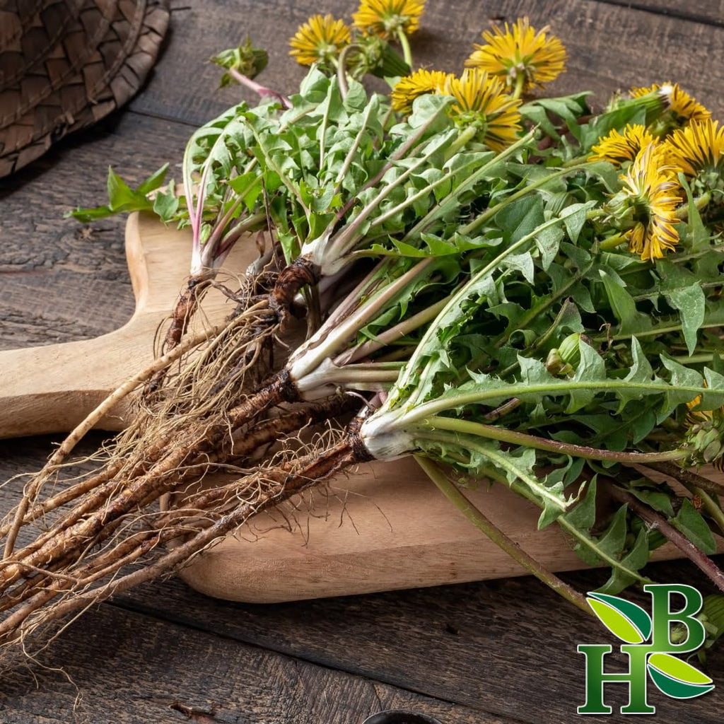 versatile dandelion root for everyday use