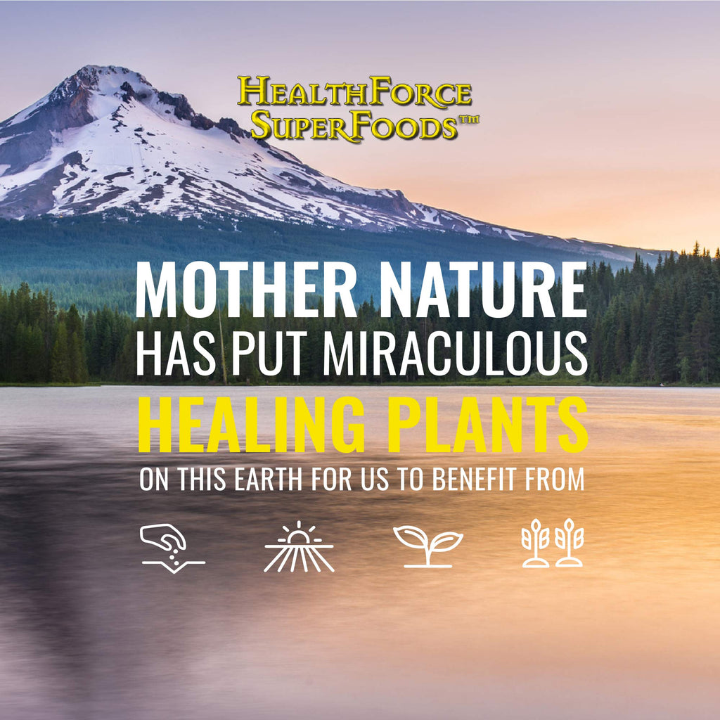 versatile dietary fibers for smoothies