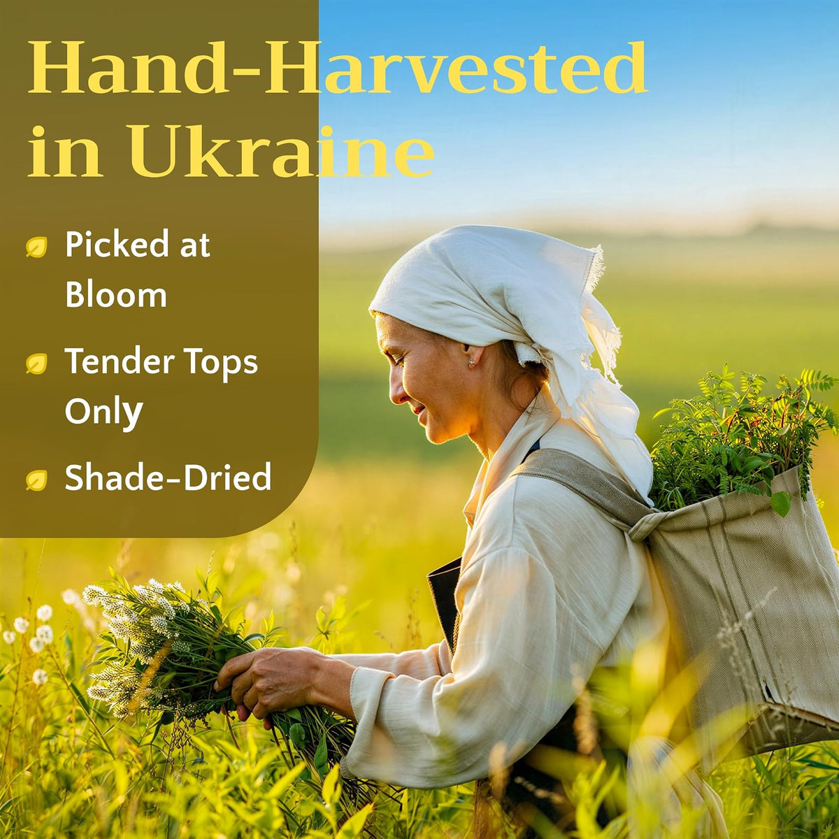 Versatile dried herb for cooking