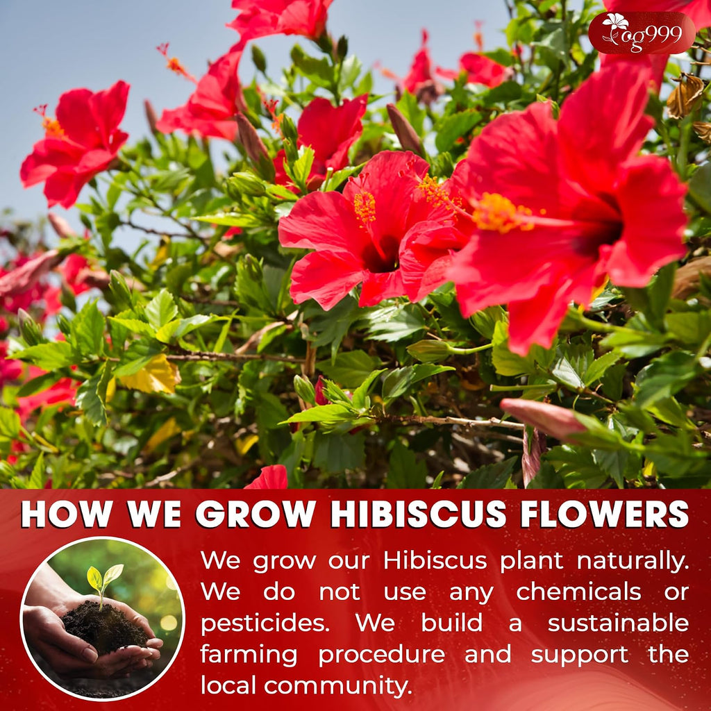 versatile dried hibiscus for refreshing drinks