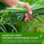 versatile dried lemongrass for cooking