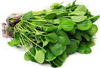versatile dried nasturtium for infusions