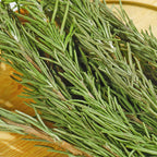 versatile dried rosemary for herbal detox