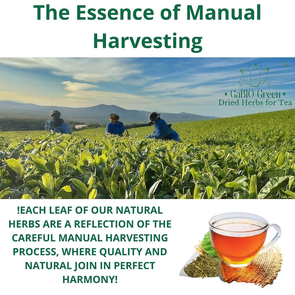 versatile dried rue tea ingredient