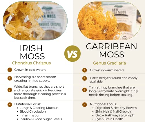 versatile dried seaweed & nori recipes