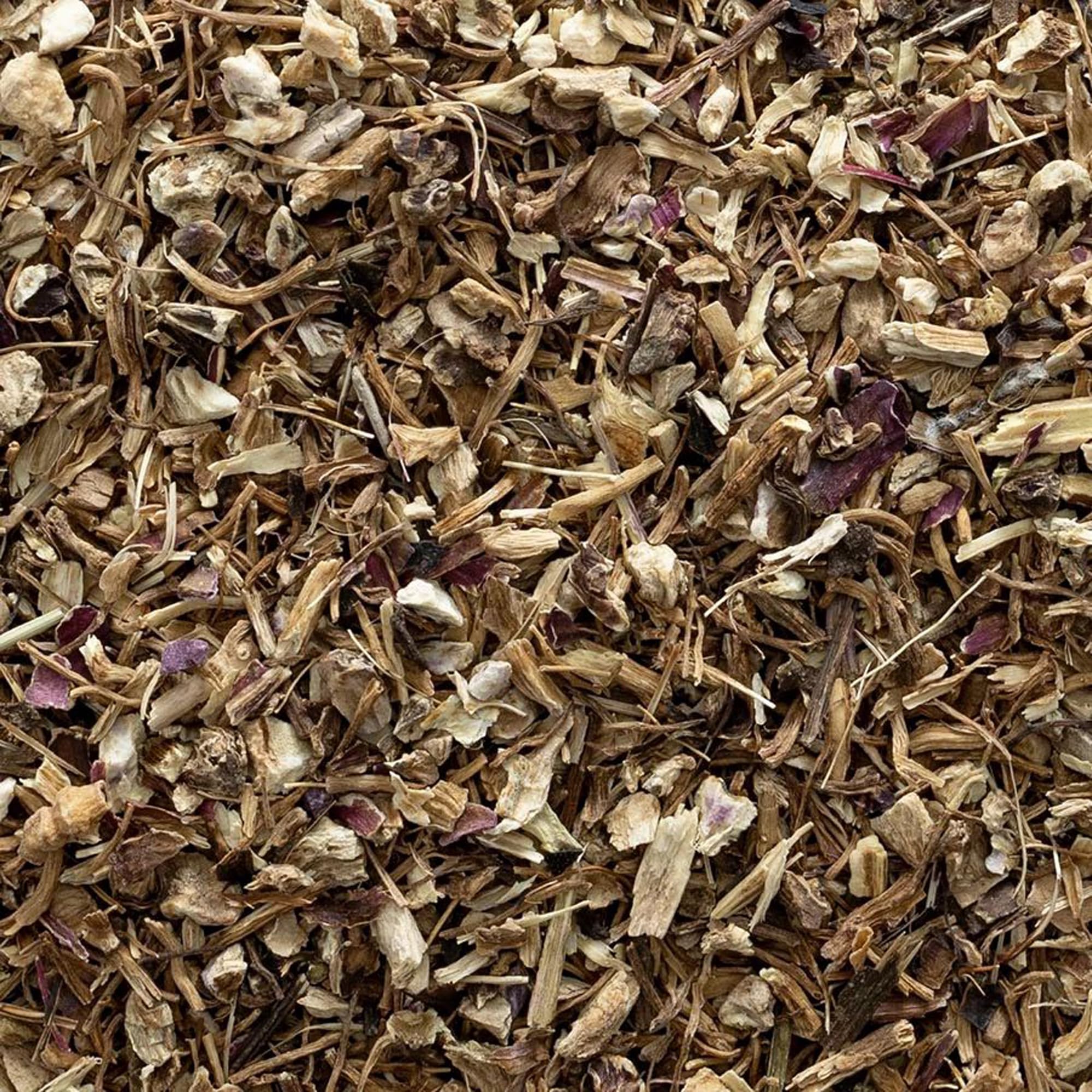 versatile echinacea for wellness