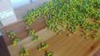 Versatile edible flowers for herbal infusions