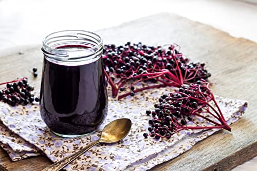 versatile elderberries for wellness
