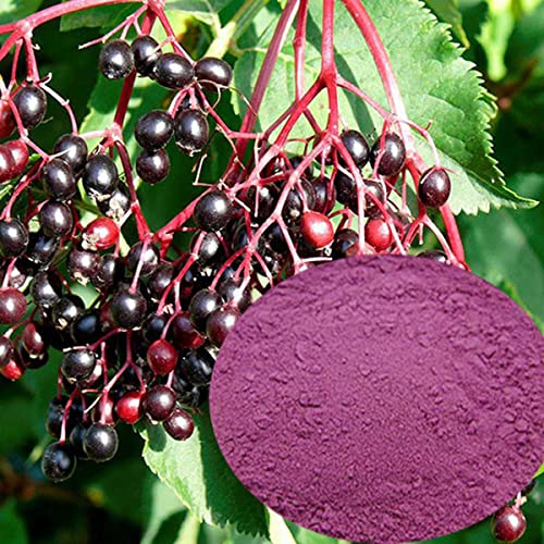 versatile elderberry for daily use