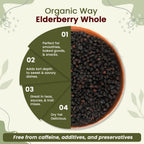 versatile elderberry for herbal remedies
