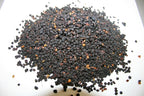 versatile elderberry for herbal teas