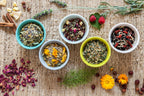 versatile elderberry tea for daily use