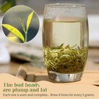 versatile green tea for daily use