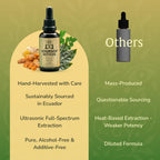 Versatile herbal extract for recipes