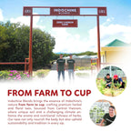 versatile herbal tea for brewing