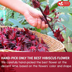 versatile hibiscus powder for recipes