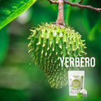 versatile ingredient for herbal blends