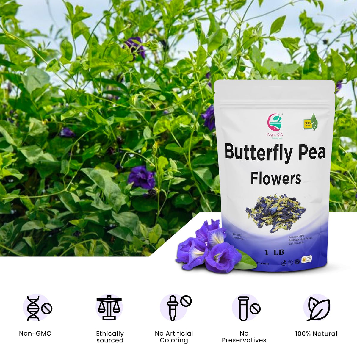 versatile ingredient for herbal recipes