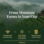 versatile jiaogulan tea for daily use