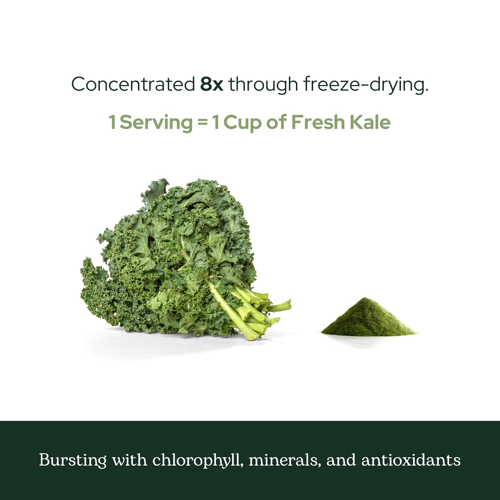 versatile kale powder for cooking