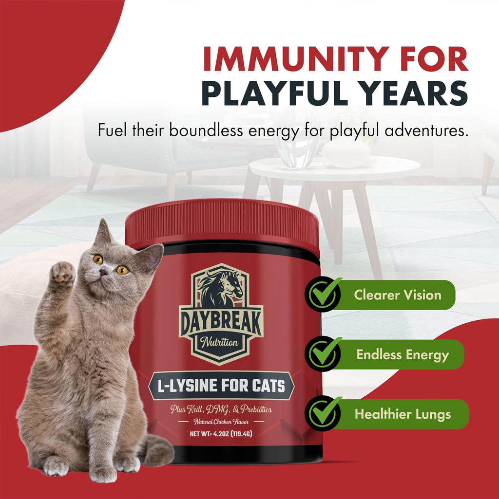 versatile l-lysine for daily use