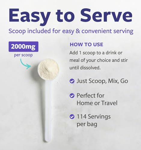 Versatile Lion's Mane powder for recipes
