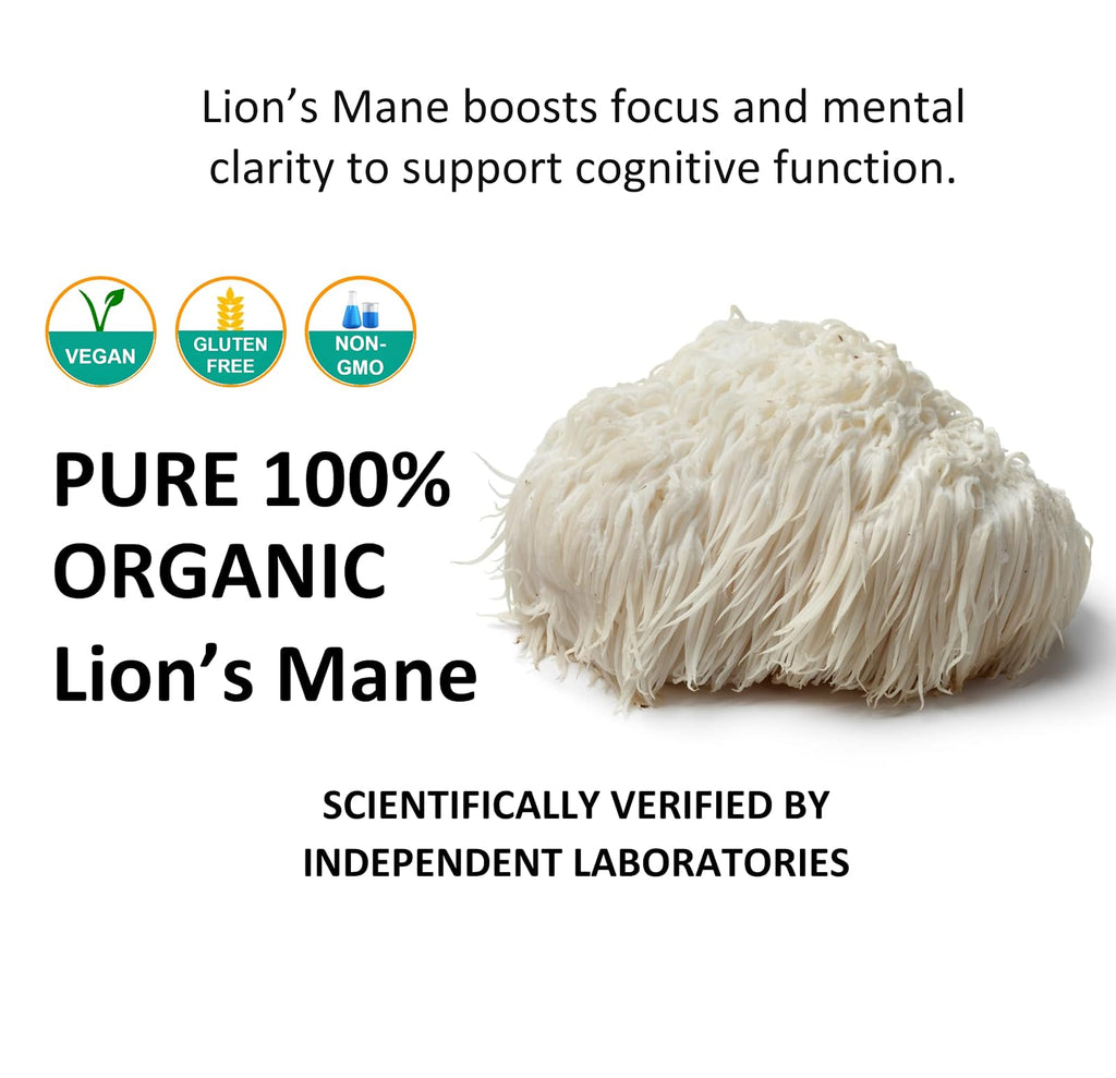 versatile lion's mane powder uses