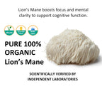 versatile lion's mane powder uses