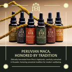 Versatile maca extract for smoothies and teas