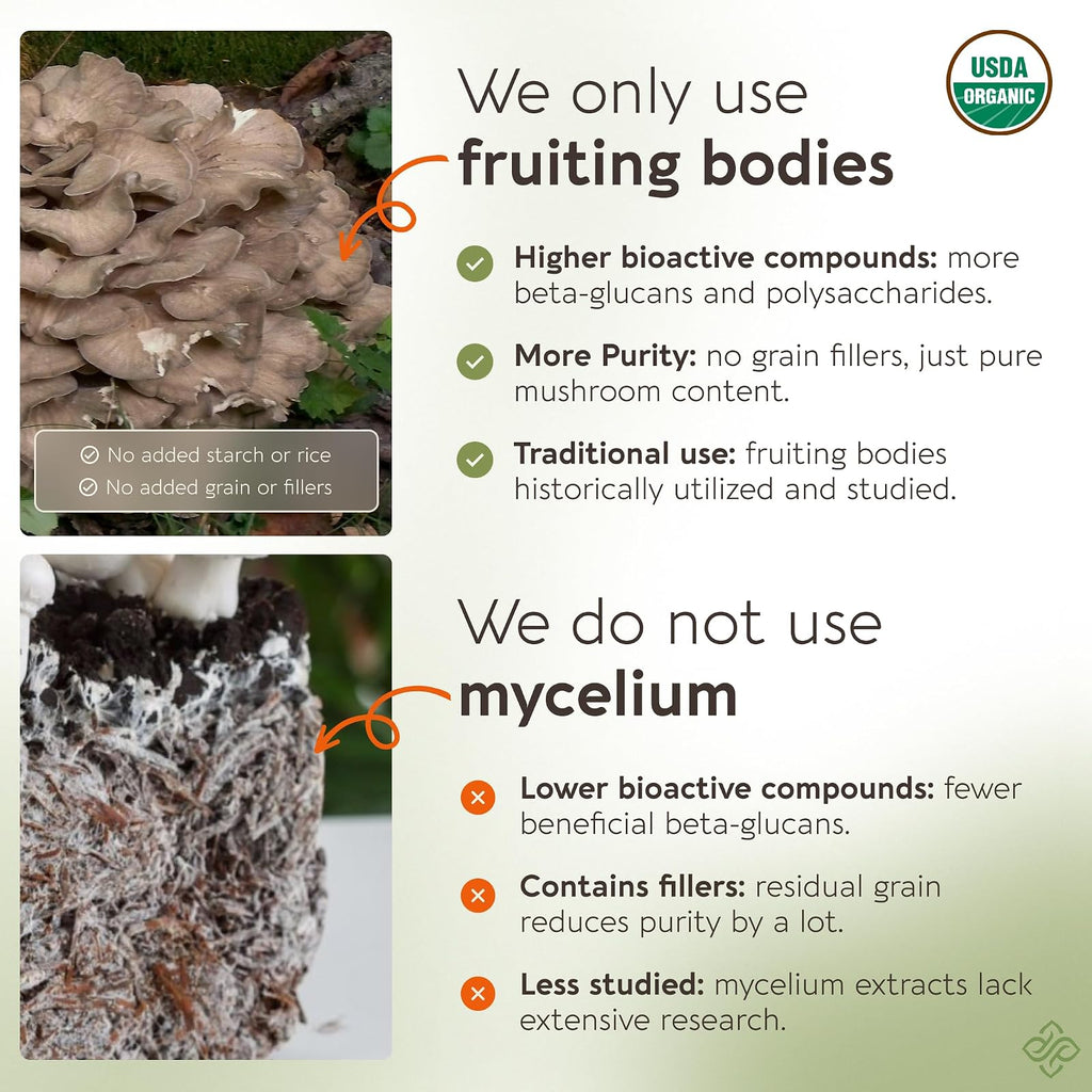 Versatile maitake powder for smoothies