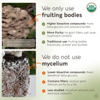 Versatile maitake powder for smoothies