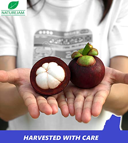 Versatile Mangosteen powder for recipes