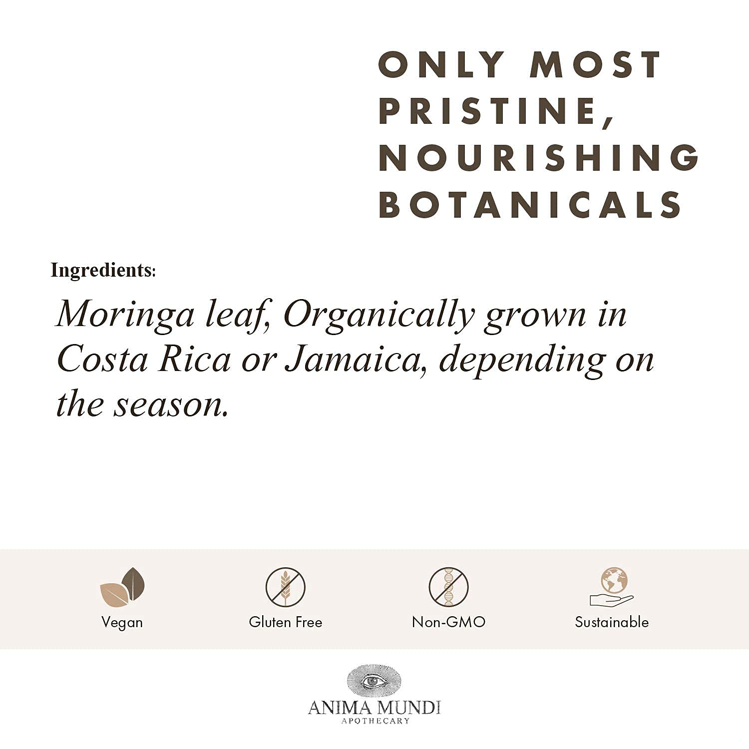 versatile moringa for smoothies